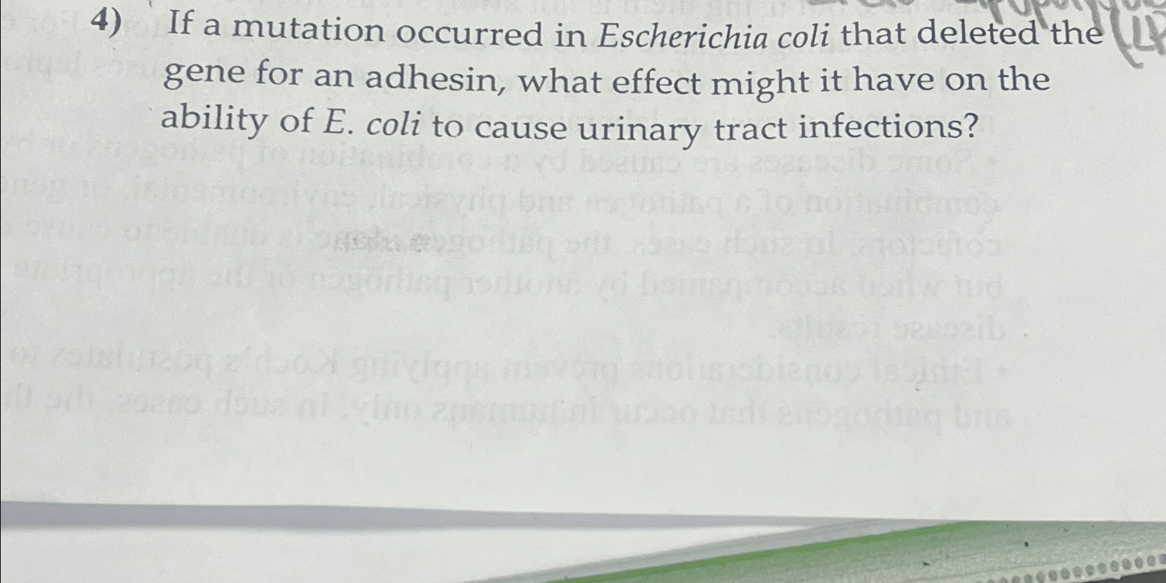 Solved If a mutation occurred in Escherichia coli that | Chegg.com