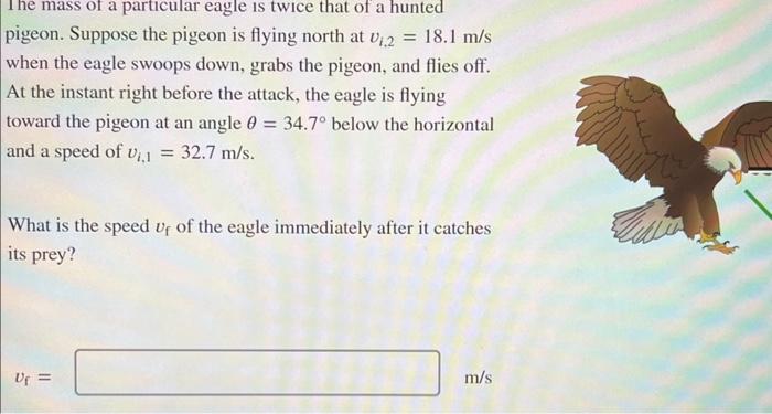 Solved pigeon. Suppose the pigeon is flying north at | Chegg.com
