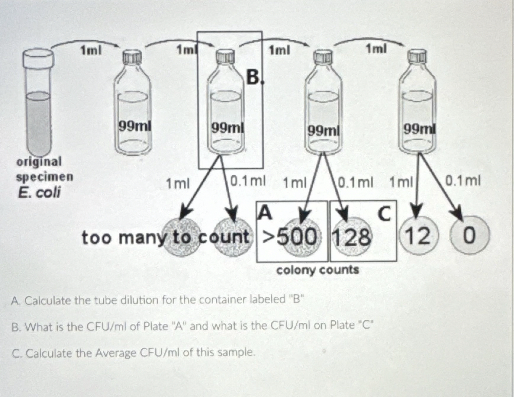 Solved A. ﻿Calculate the tube dilution for the container | Chegg.com