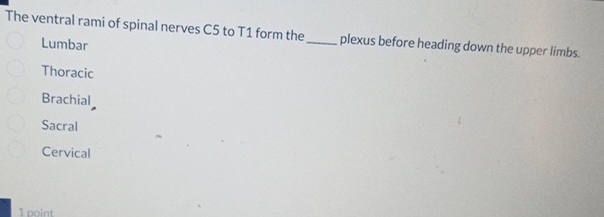 Solved The ventral rami of spinal nerves C5 ﻿to T1 ﻿form | Chegg.com