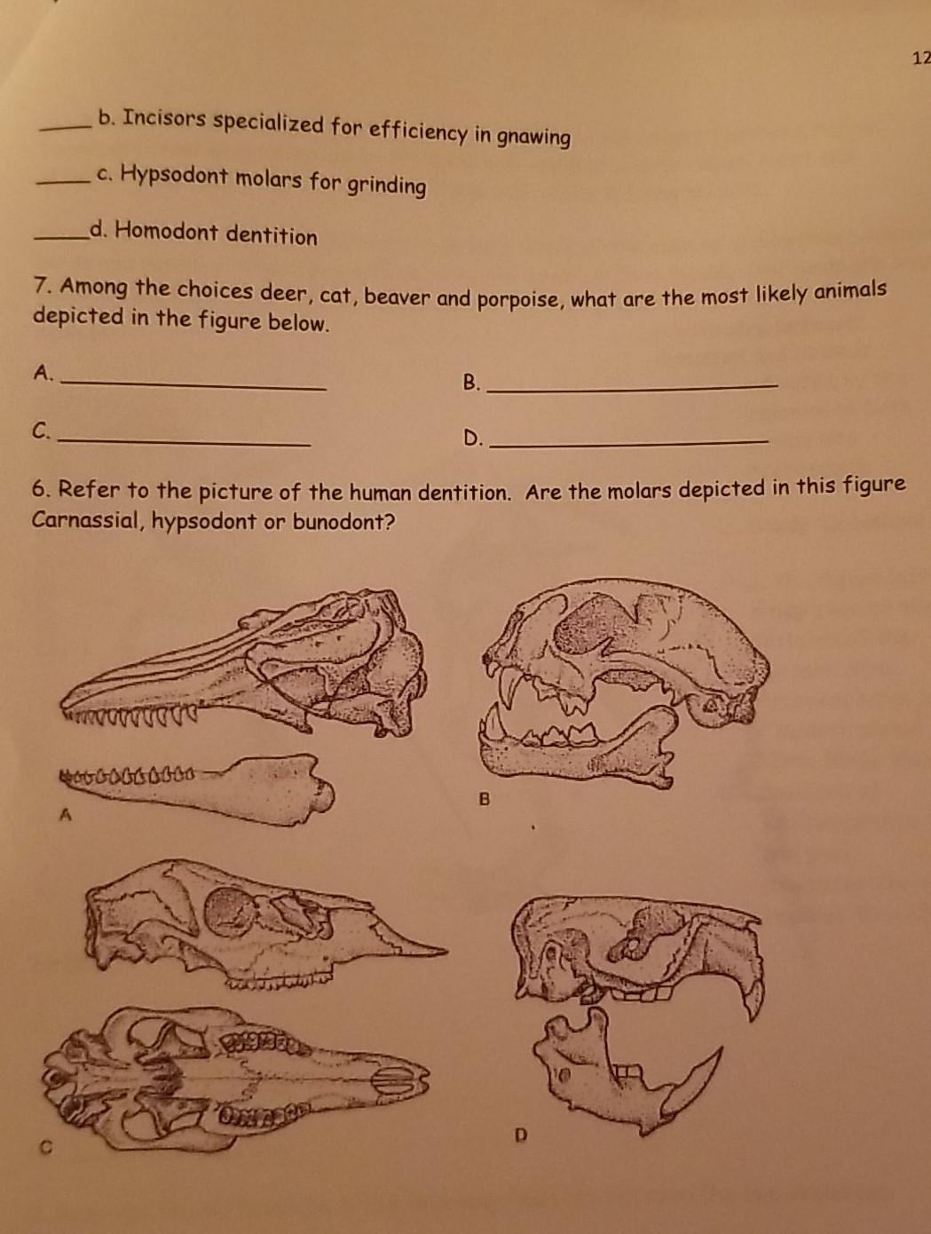 Solved Study Questions 6. Which of the drawings below | Chegg.com