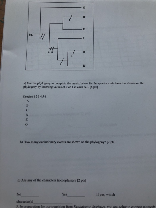 Solved a) Use the phylogeny to complete the matrix below for | Chegg.com