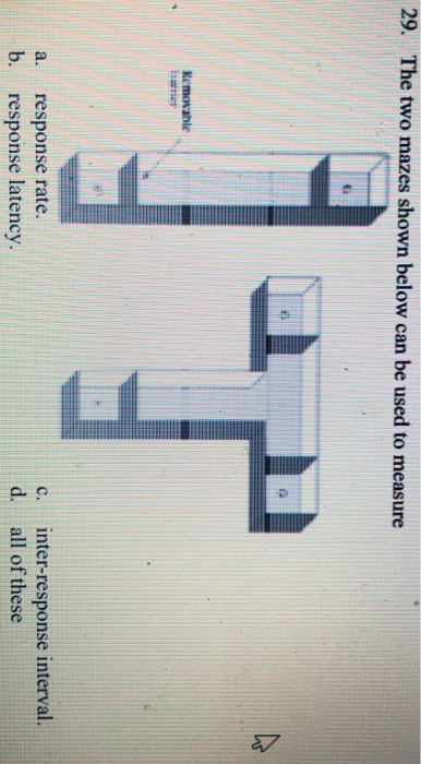 Solved 24. Which statement most accurately summarizes the | Chegg.com