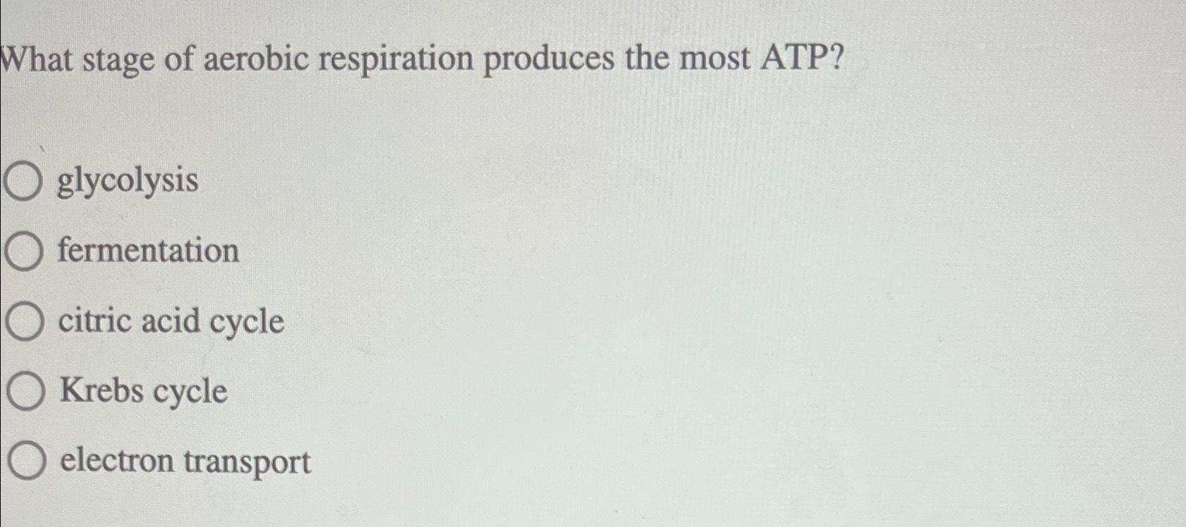 Solved What stage of aerobic respiration produces the most | Chegg.com