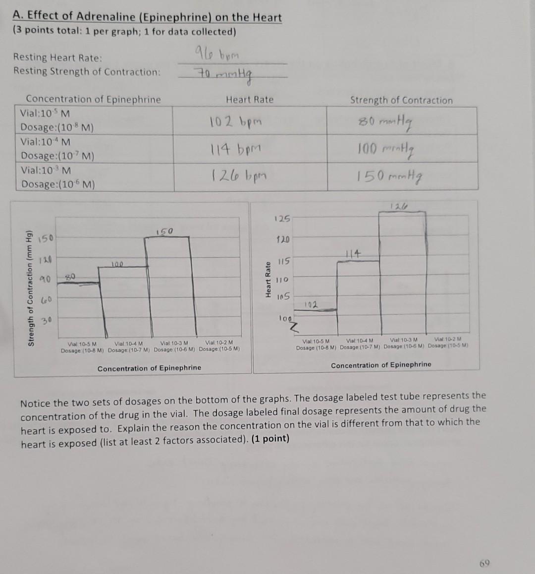 Solved A. Effect of Adrenaline (Epinephrine) on the Heart (3 | Chegg.com