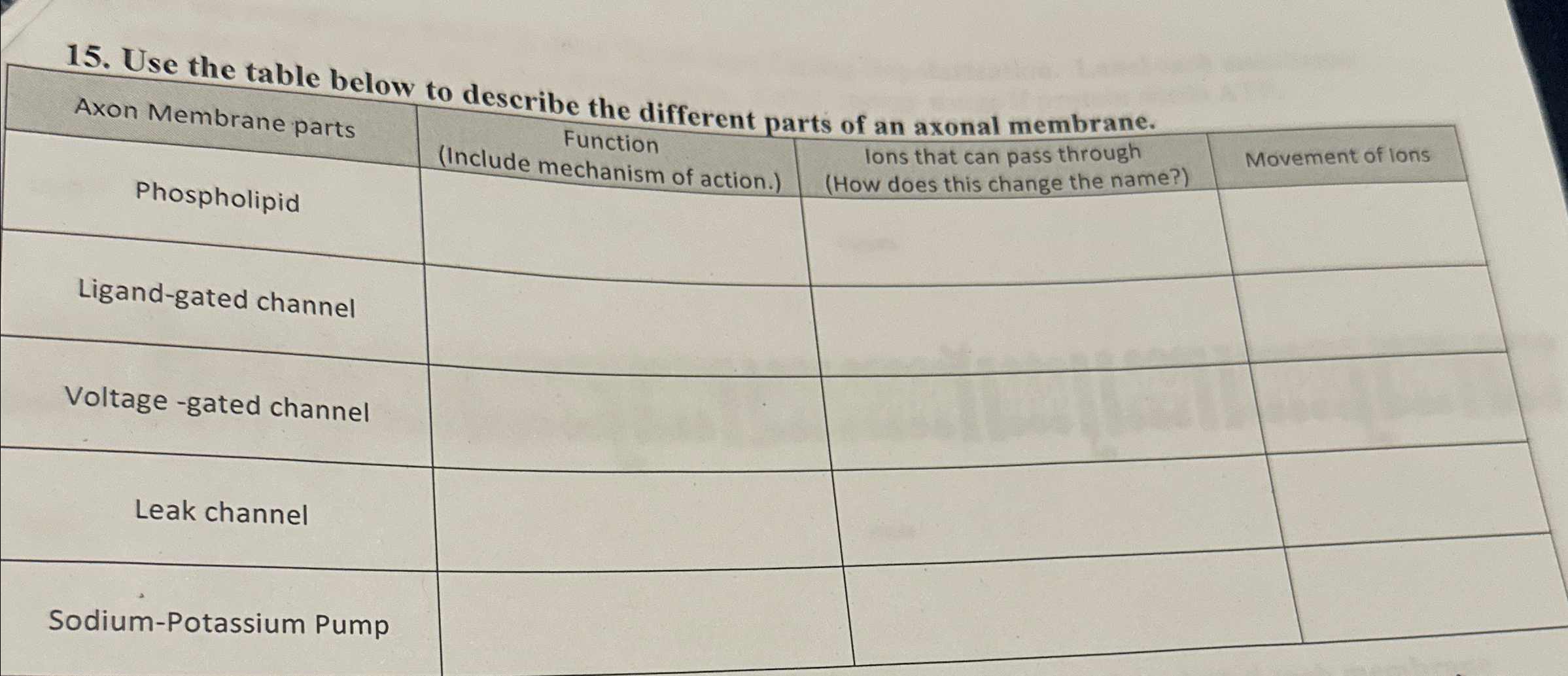 Solved Use the table below to describe the different parts | Chegg.com