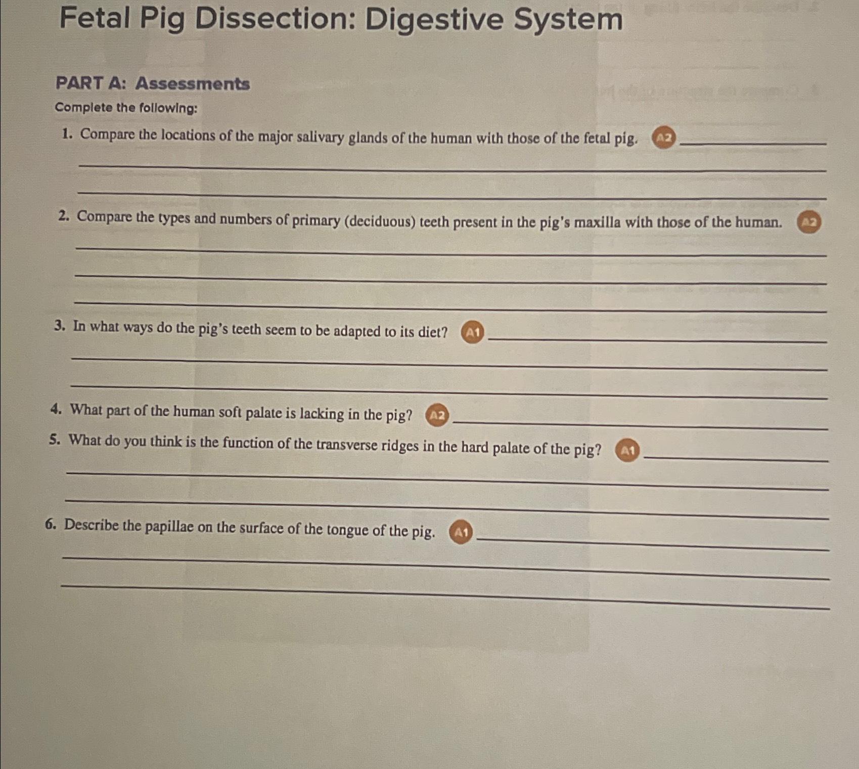Solved Fetal Pig Dissection: Digestive SystemPART A: | Chegg.com