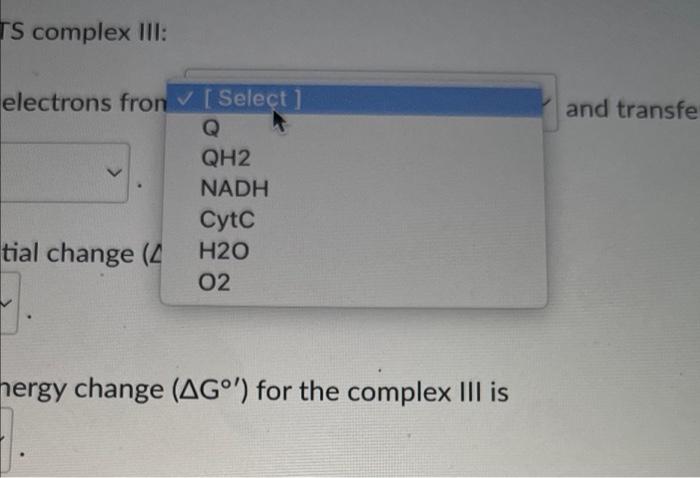 Solved Answer the followings for the ETS complex III: 1. The | Chegg.com