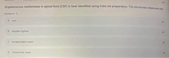 Solved Cryptococcus neoformans in spinal fluid (CSF) is best | Chegg.com