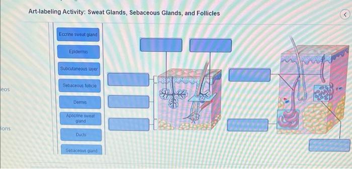 Solved Art-based Question Chapter 4 Question 1 Part A | Chegg.com