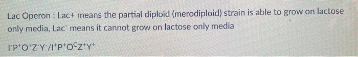 Solved Lac Operon : Lac+ means the partial diploid | Chegg.com