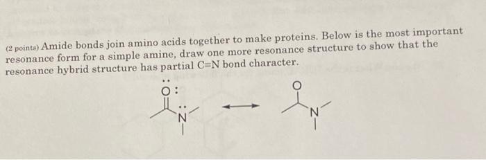Solved (2 points) Amide bonds join amino acids together to | Chegg.com