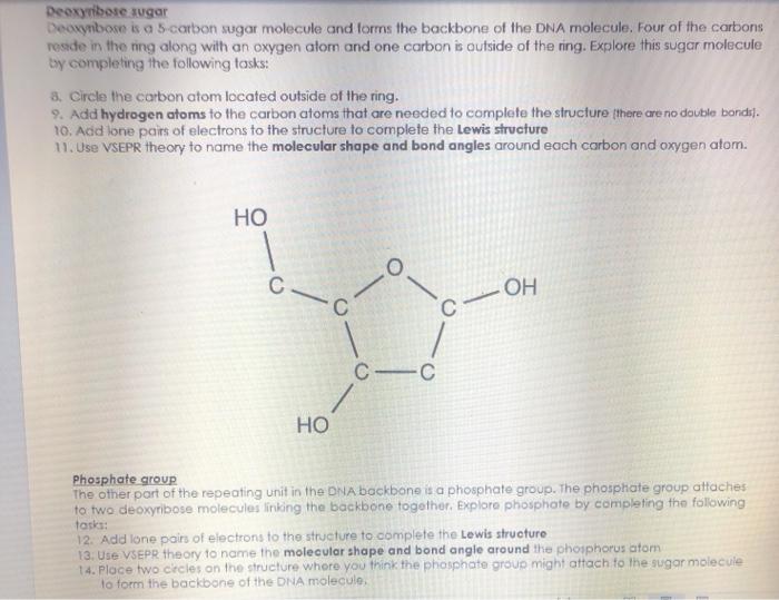 Solved EPIGENETICS: INVESTIGATING THE STRUCTURE AND FUNCTION | Chegg.com