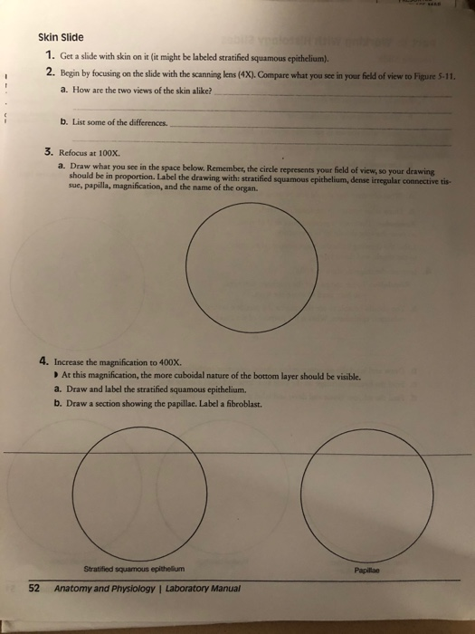 Skin Slide 1. Get a slide with skin on it (it might | Chegg.com