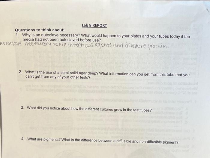 Solved Lab 8 REPORT Questions to think about: 1. Why is an | Chegg.com