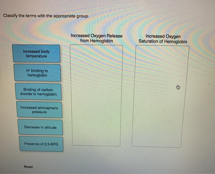 Solved Classify the terms with the appropriate group. | Chegg.com