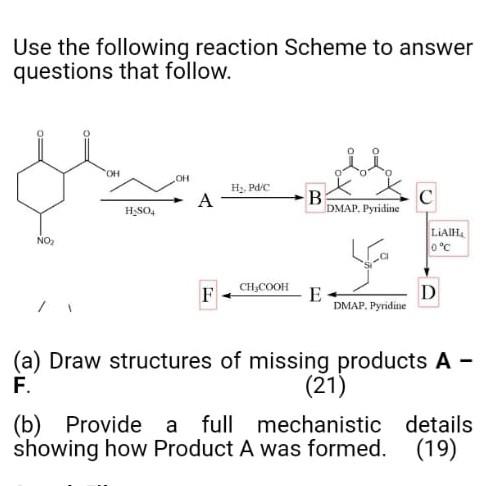 Solved Use the following reaction Scheme to answer questions | Chegg.com