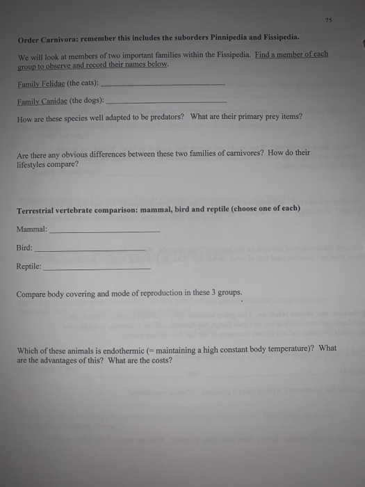 Solved 75 Order Carnivora: remember this includes the | Chegg.com