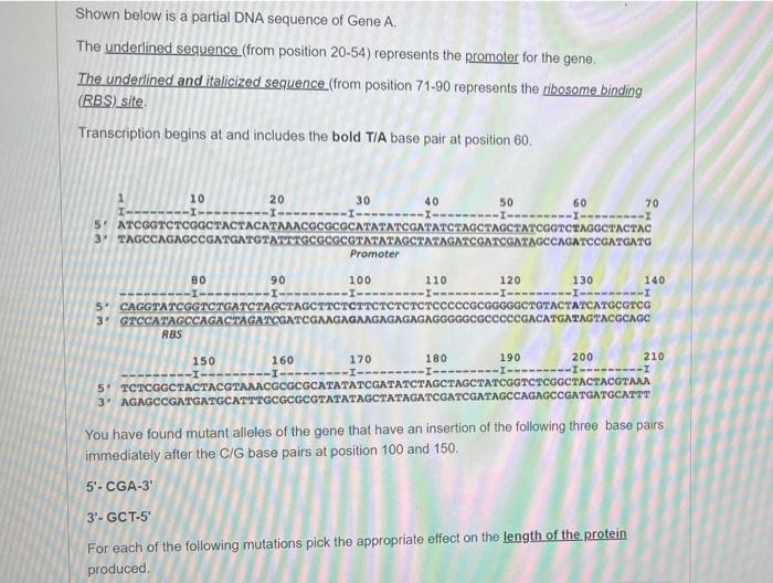 Solved Shown below is a partial DNA sequence of Gene A. The | Chegg.com
