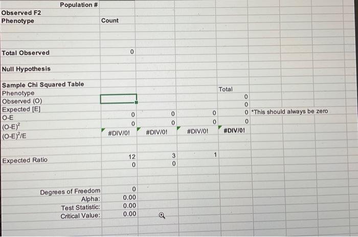 Solved \begin{tabular}{|l|c|c|c|c|} \hline GUMMI BEAR & & & | Chegg.com