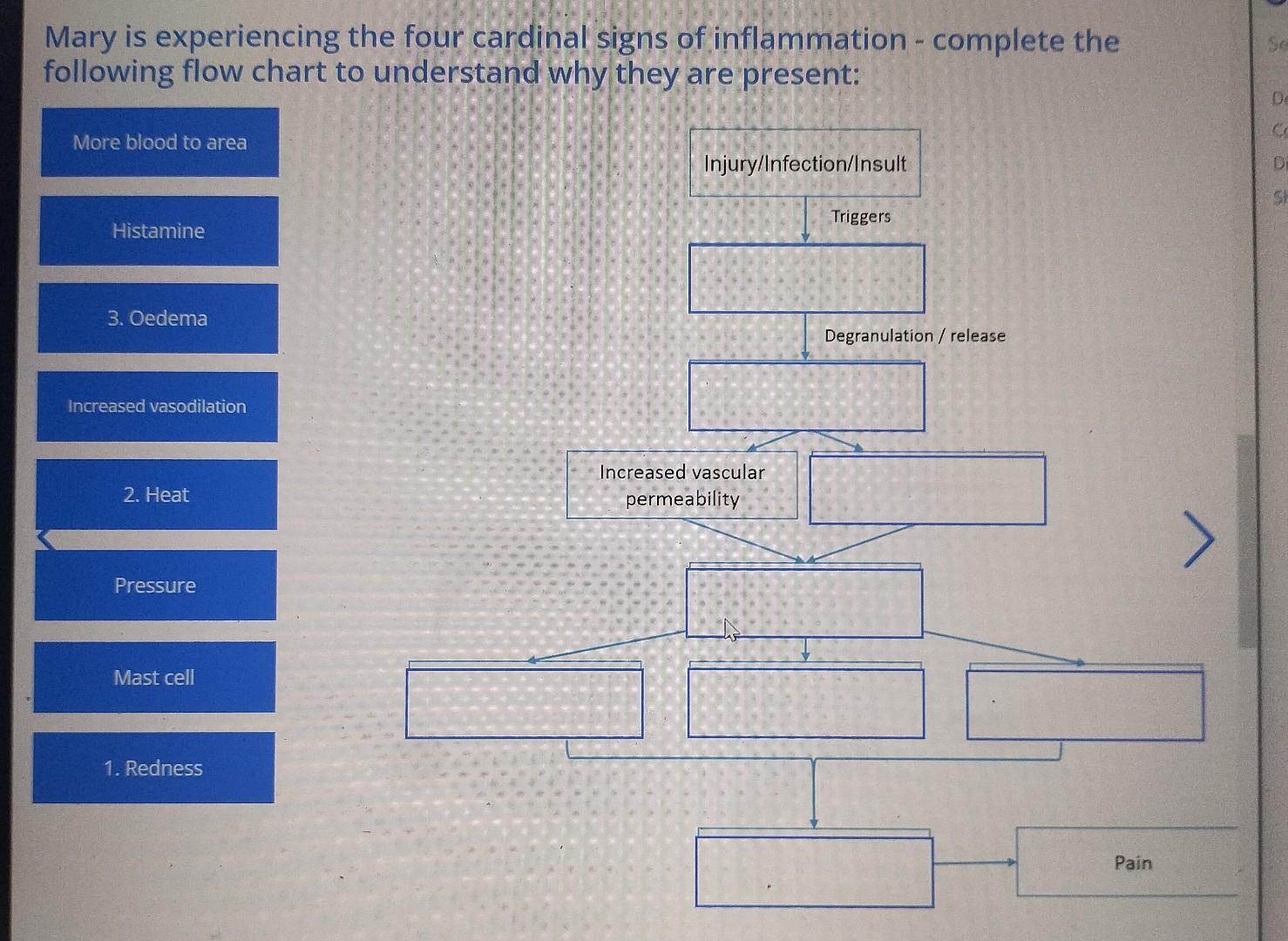 Solved Mary is experiencing the four cardinal signs of | Chegg.com