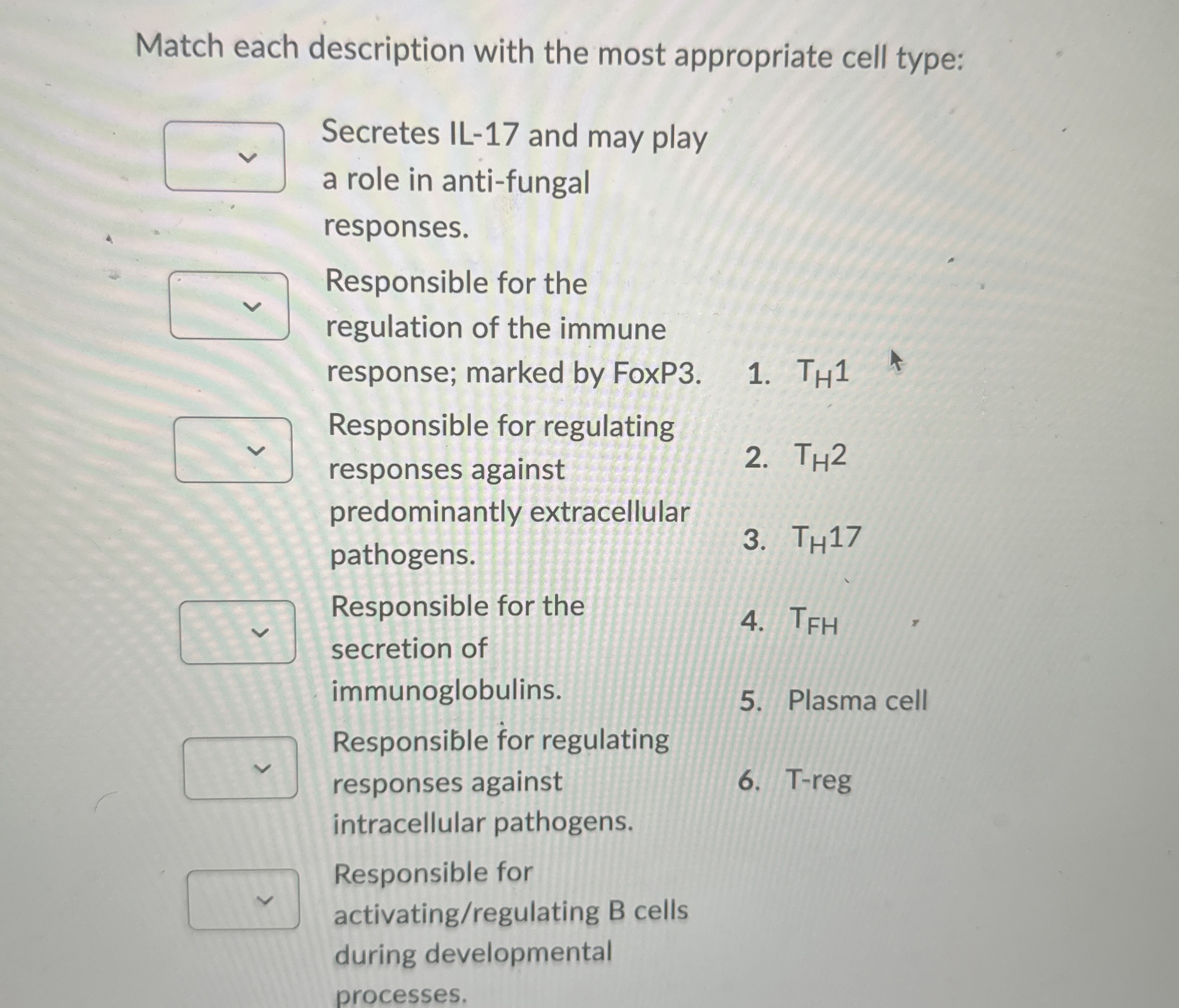 Solved Match each description with the most appropriate cell | Chegg.com