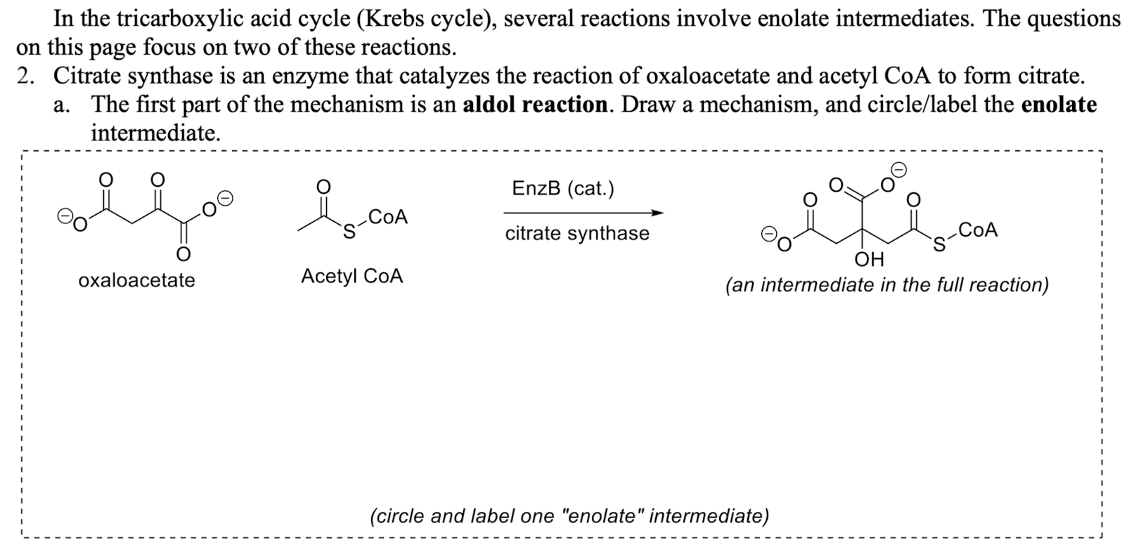 Solved In the tricarboxylic acid cycle (Krebs cycle), | Chegg.com