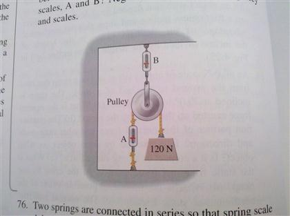 Solved What is the force on scale A and on scale B, | Chegg.com