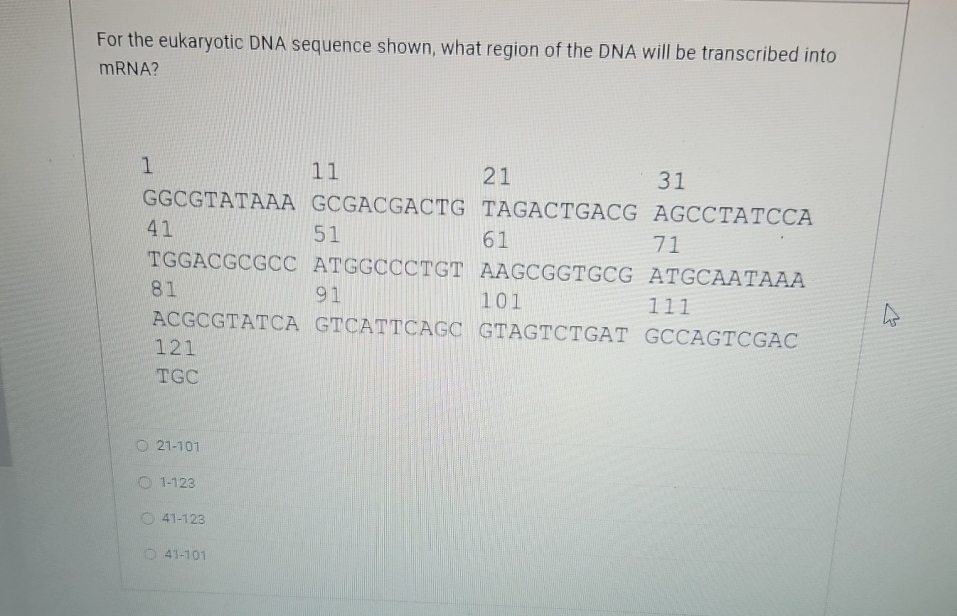 Solved For the eukaryotic DNA sequence shown, what region of | Chegg.com