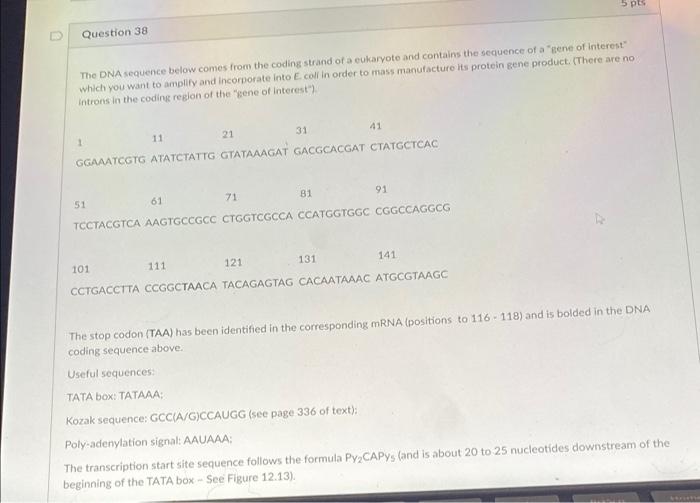 Solved The DNA sequence below comes from the coding strand | Chegg.com