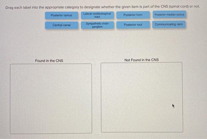 Solved Drag each label into the appropriate category to | Chegg.com