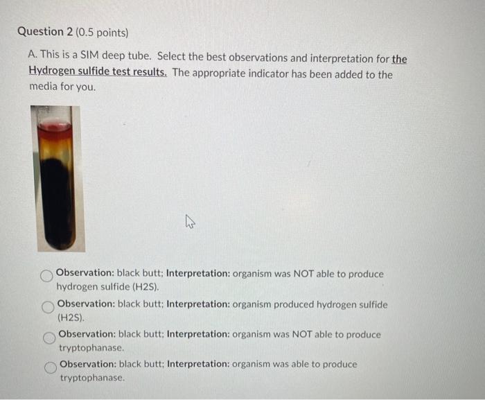 Solved A. This is a SIM deep tube. Select the best | Chegg.com