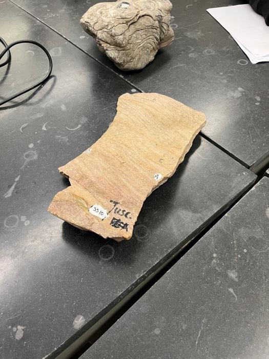 Solved Hi are those two types rocks: Basalt and shale? | Chegg.com