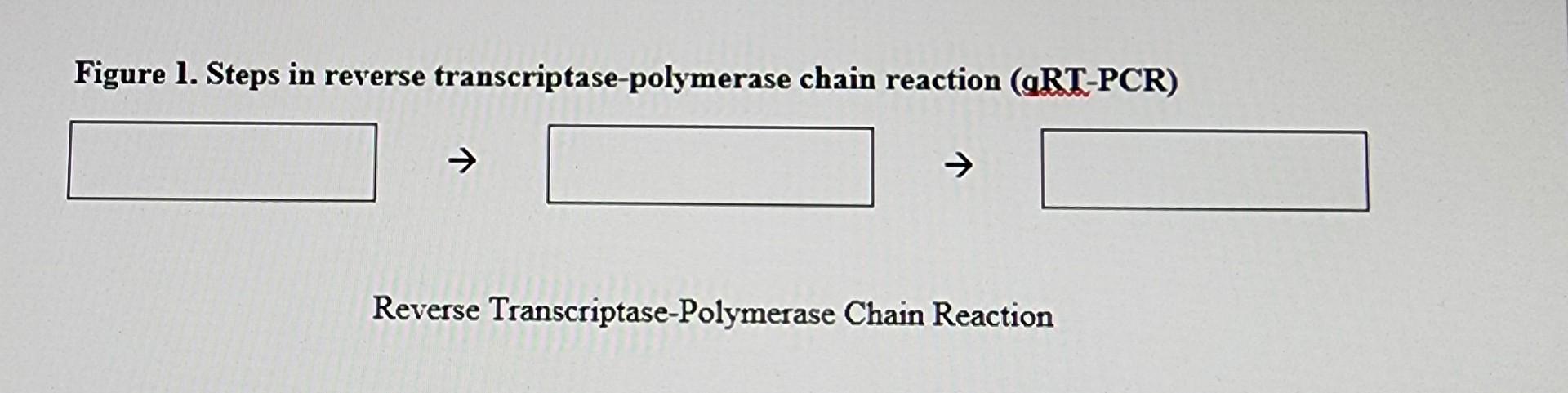 Solved Figure 1. Steps in reverse transcriptase-polymerase | Chegg.com