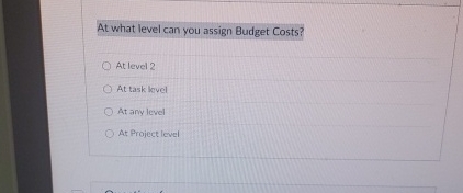 Solved At what level can you assign Budget Costs?At level | Chegg.com