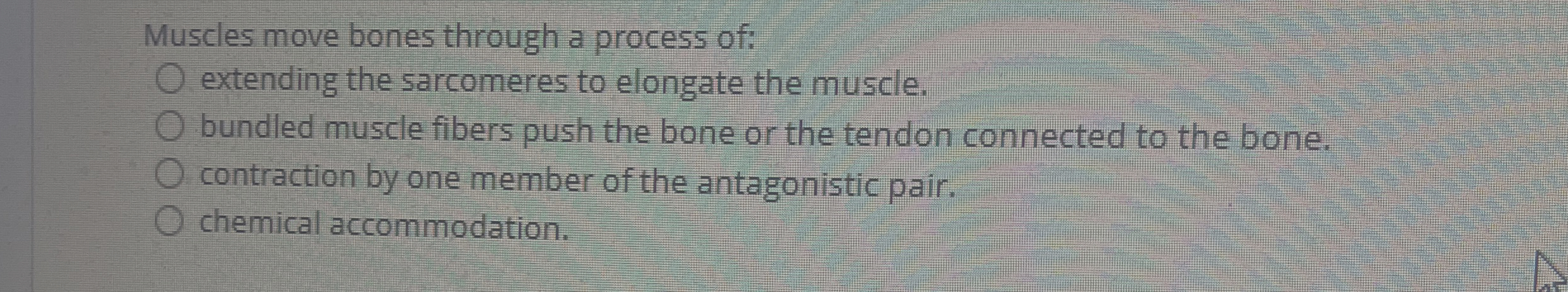 Solved Muscles move bones through a process of:extending the | Chegg.com