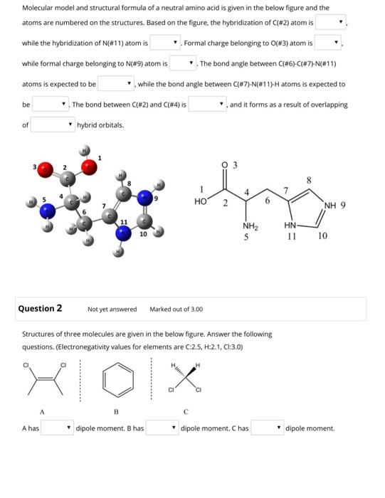 Solved Molecular model and structural formula of a neutral | Chegg.com