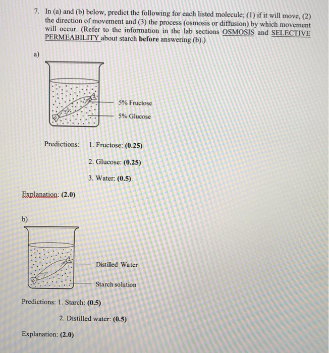 Solved EXERCISE I: A DEMONSTRATION OF OSMOSIS USING AN | Chegg.com