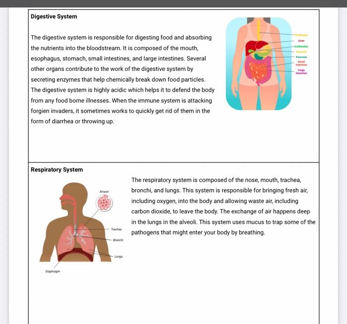 Pot HS Biology Unit 2 Mini-Lesson 2 Body Systems and | Chegg.com