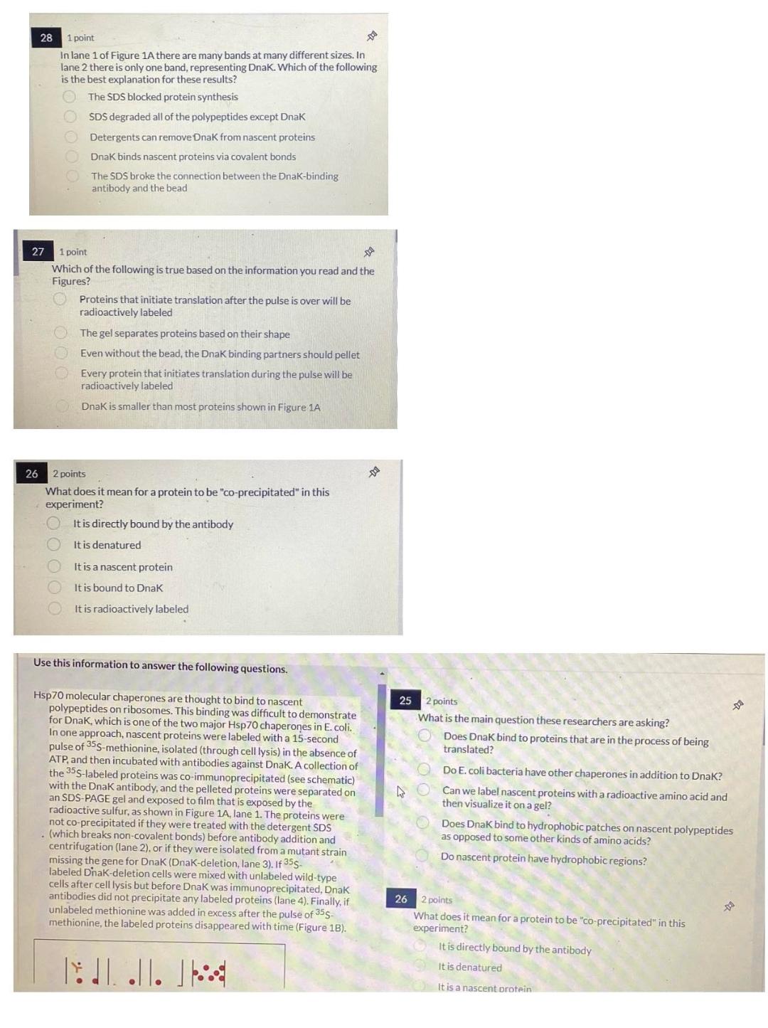 there are 4 ﻿questions within the image please answer | Chegg.com