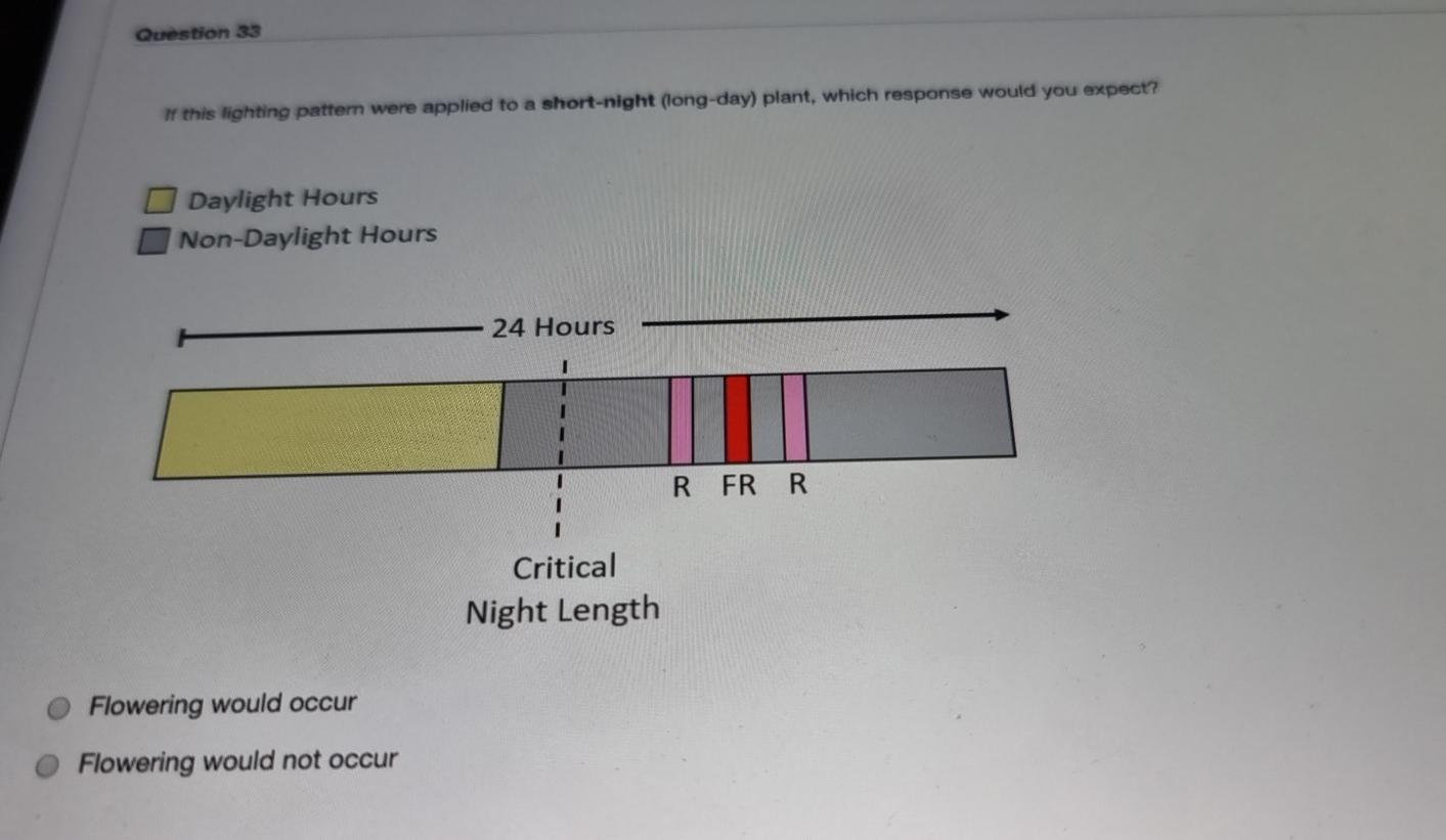 Solved Question 33 If this lighting pattern were applied to | Chegg.com