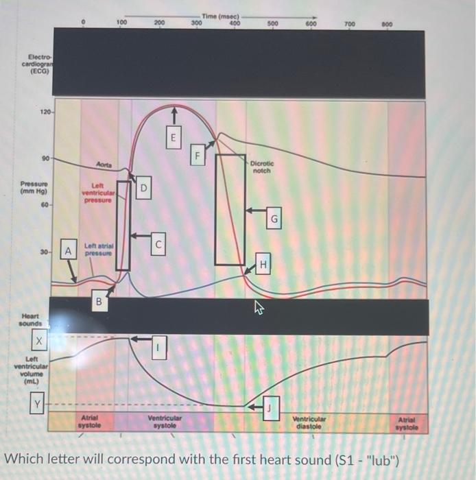 Solved Which letter will correspond with the first heart | Chegg.com