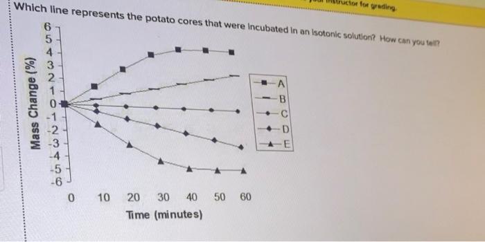 Solved Which line represents the potato cores that were | Chegg.com
