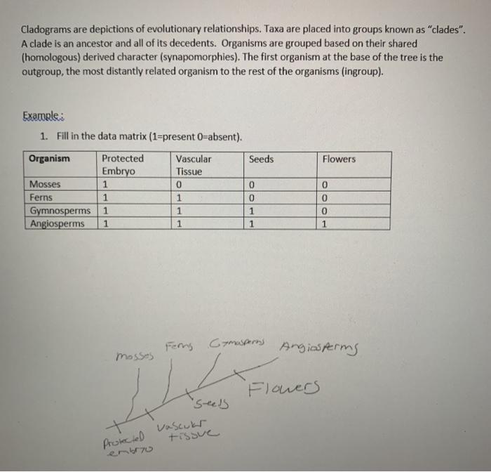 Solved 1. fill in the data2. draw a cladogram using your | Chegg.com