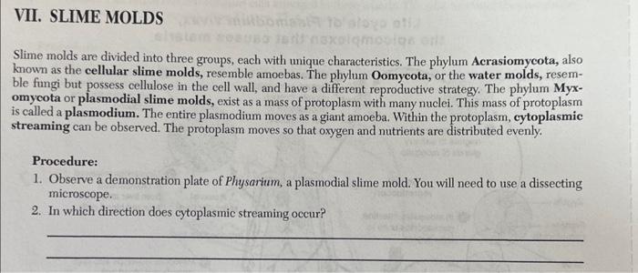 Solved Slime molds are divided into three groups, each with | Chegg.com