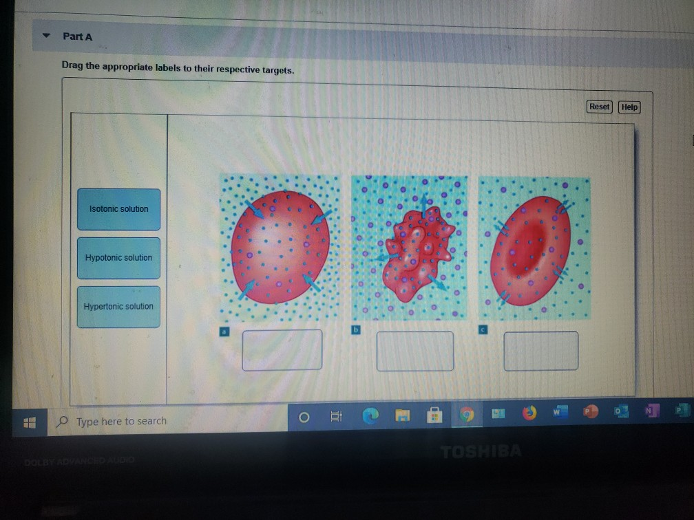 Solved Part A Drag the appropriate labels to their | Chegg.com