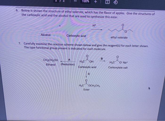 Solved - 100% + 6. Below is shown the structure of ethyl | Chegg.com
