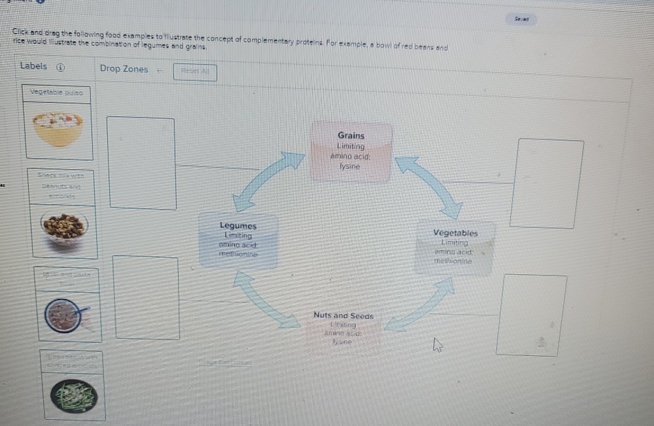 Solved Click and drag the following food examples to | Chegg.com