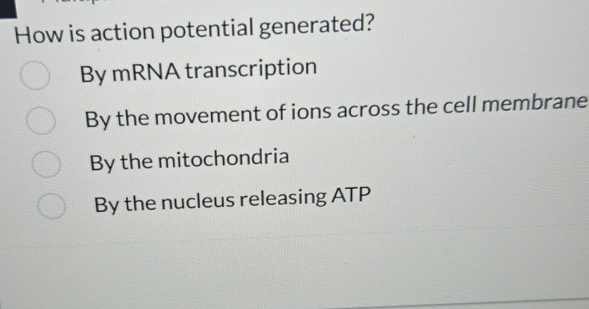 Solved How is action potential generated?By mRNA | Chegg.com