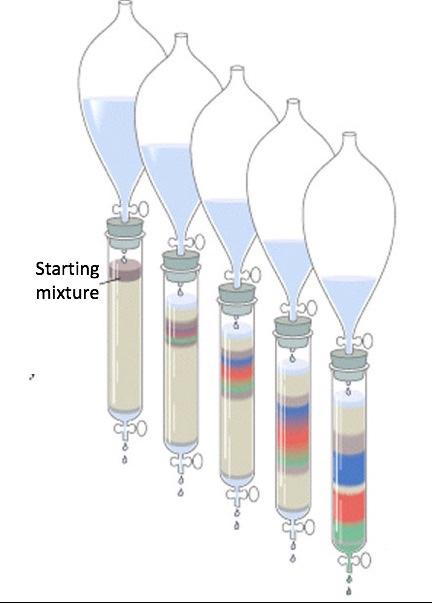 Solved In the silica gel column chromatography experiment | Chegg.com